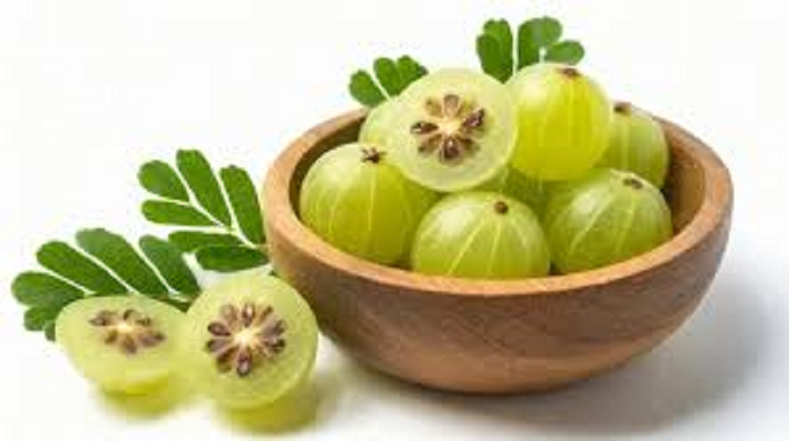 Waste to Wealth: Amla seeds are not useless. Patanjali's research ...
