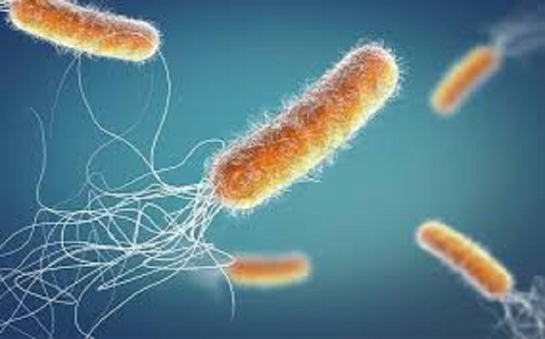 What Are Superbugs? What are superbugs, and how do they make treatment ...