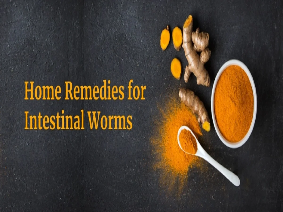 Intestinal Worm Infection: Common Symptoms, Foods to Eat, and Important ...