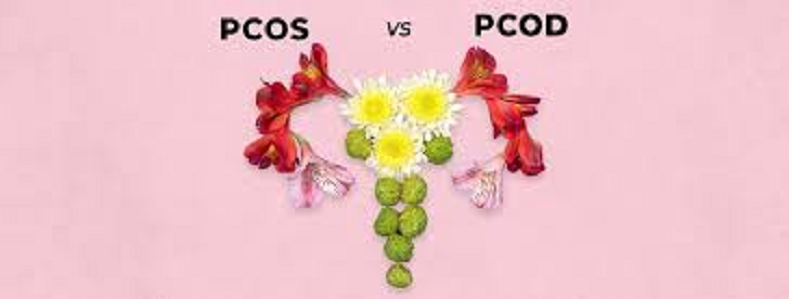 It is important for every woman to know what is the difference between ...