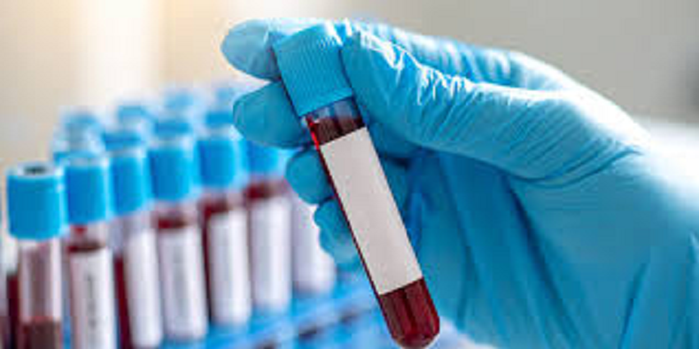 Blood Formation Process: How is blood formed in the human body? How do ...