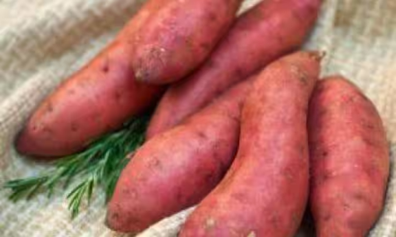 Sweet potatoes are a winter superfood; learn about their 6 benefits ...